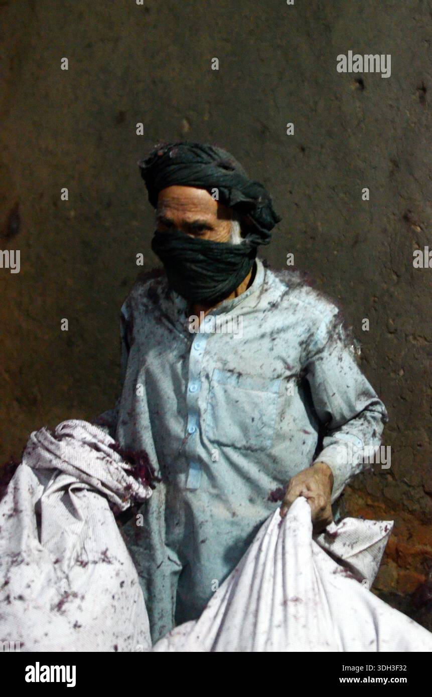 Peshawar, Peshawar, Pakistan. 19th Jan, 2026. Cotton processing ...