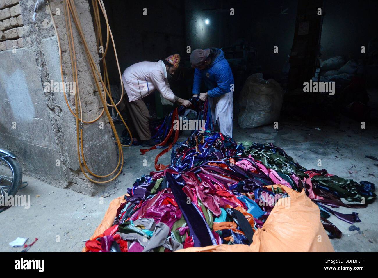 Peshawar, Peshawar, Pakistan. 19th Jan, 2026. Cotton processing ...