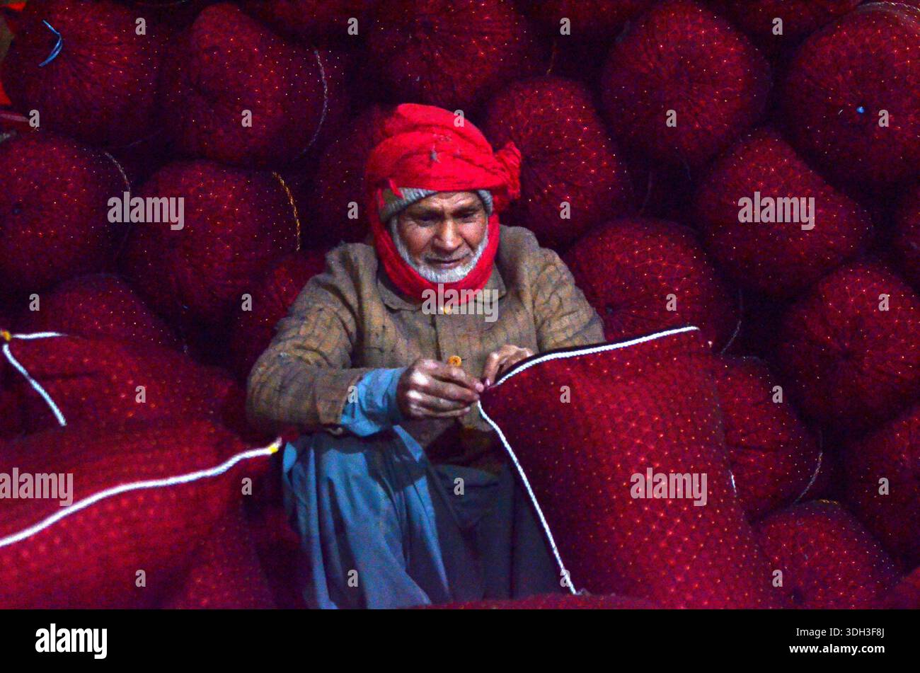 Peshawar, Peshawar, Pakistan. 19th Jan, 2026. Cotton processing ...