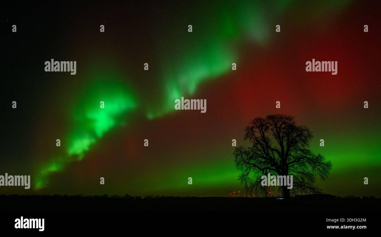 Northern lights shine in the night sky over the landscape near Lietzen ...