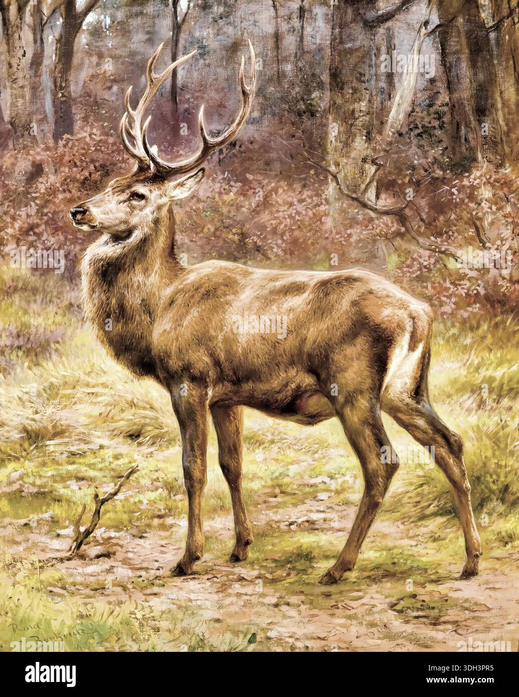 French stag Stock Vector Images - Alamy