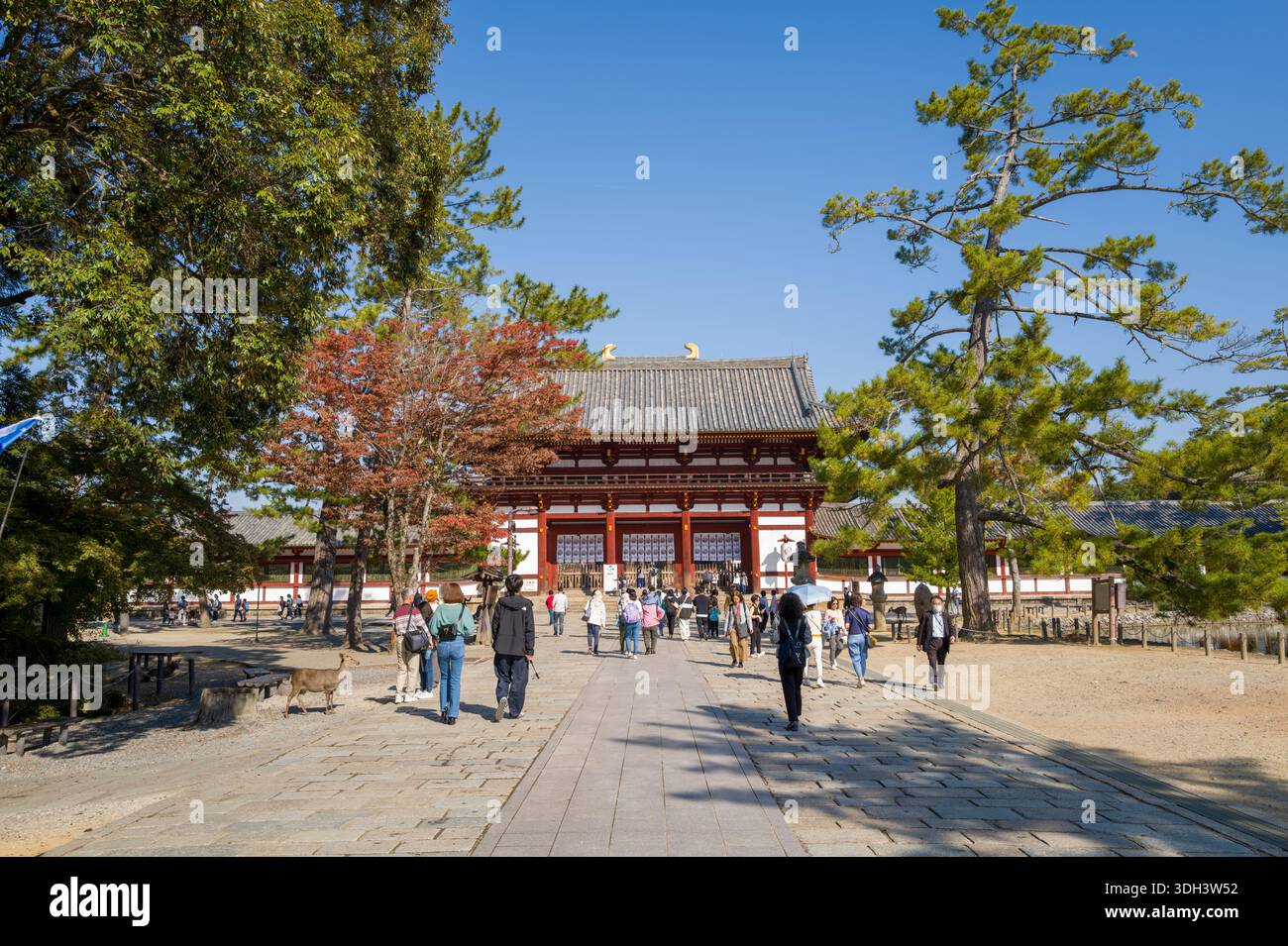 Todai ji chumon hi-res stock photography and images - Alamy