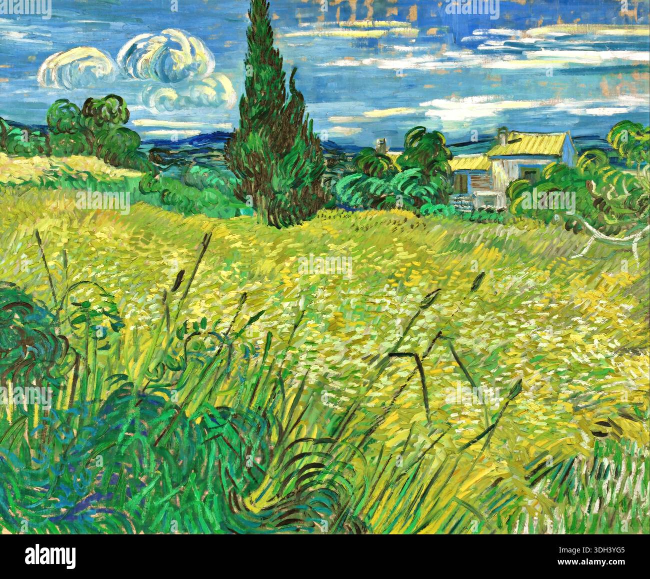 Green Field, 1889 painting by Vincent van Gogh Stock Vector Image & Art ...