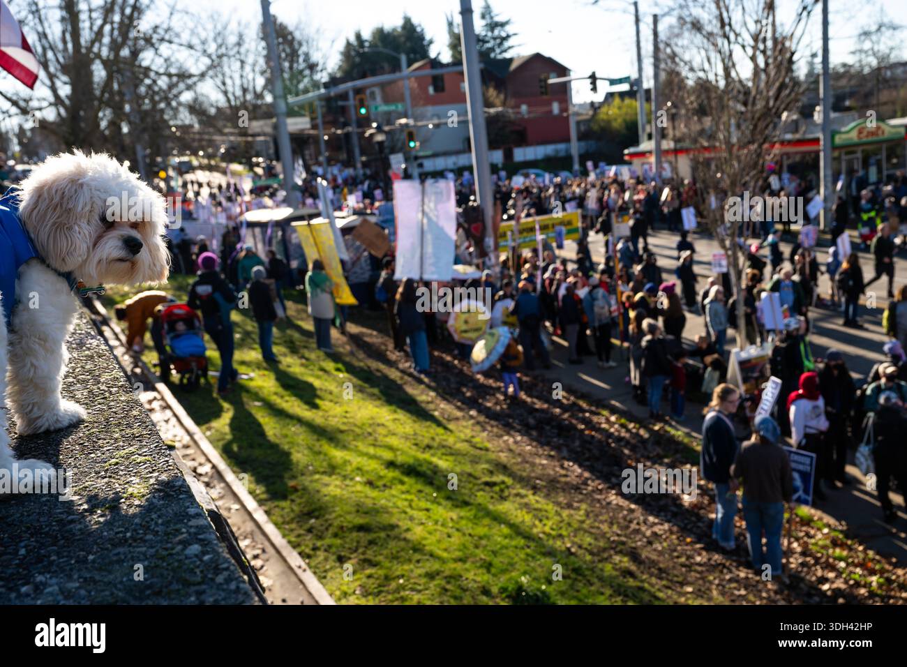 Seattle, USA. 19th Jan, 2026. Thousands gather and march on Martin ...