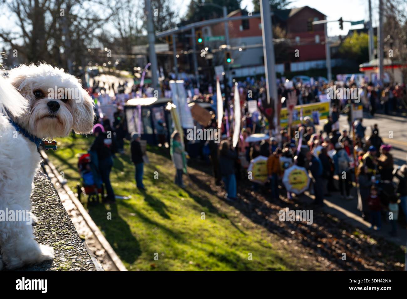 Seattle, USA. 19th Jan, 2026. Thousands gather and march on Martin ...