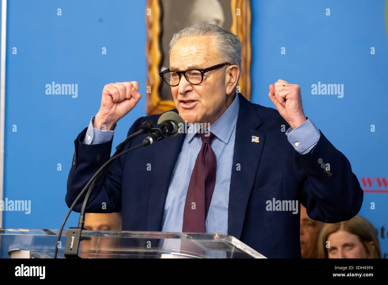 NEW YORK, NEW YORK - JANUARY 19: U.S. Senator Chuck Schumer (D-NY ...