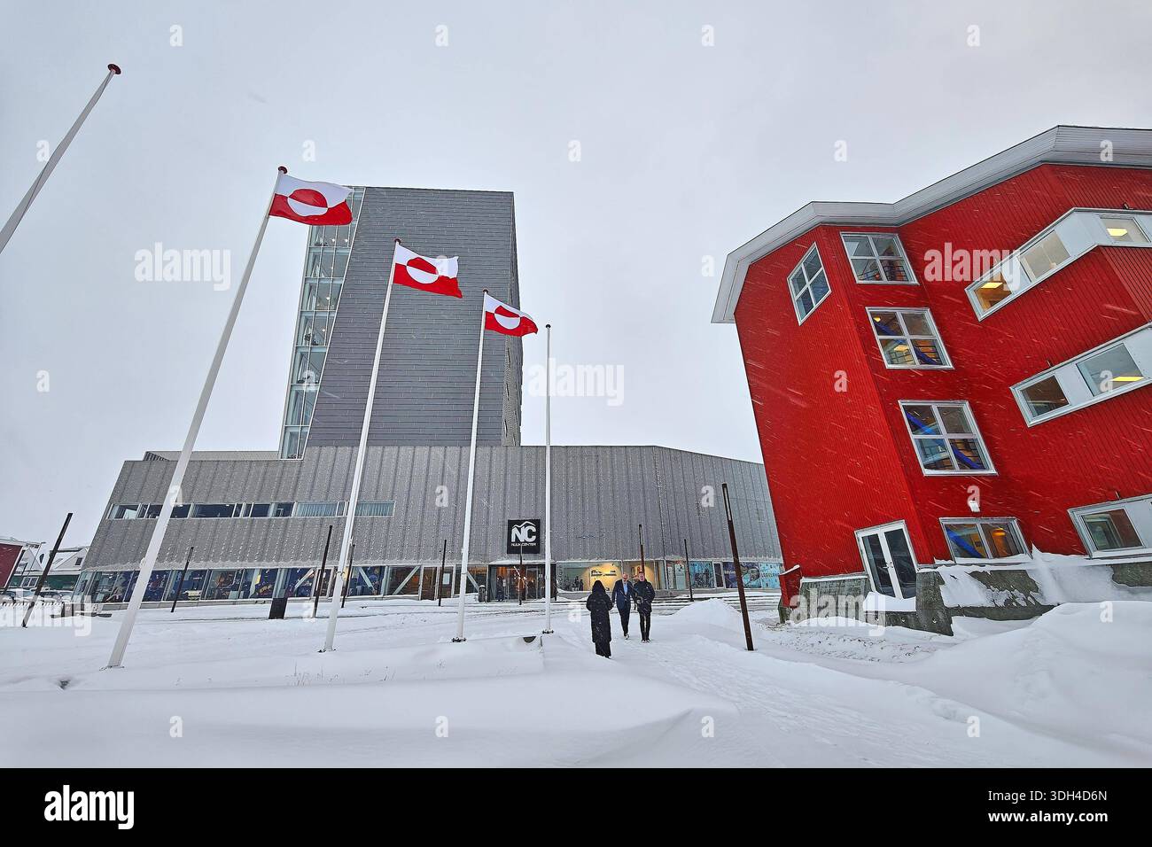 Nuuk, Grönland, 19.01.2026: Grönländische Fahnen vor Regierungsgebäuden ...