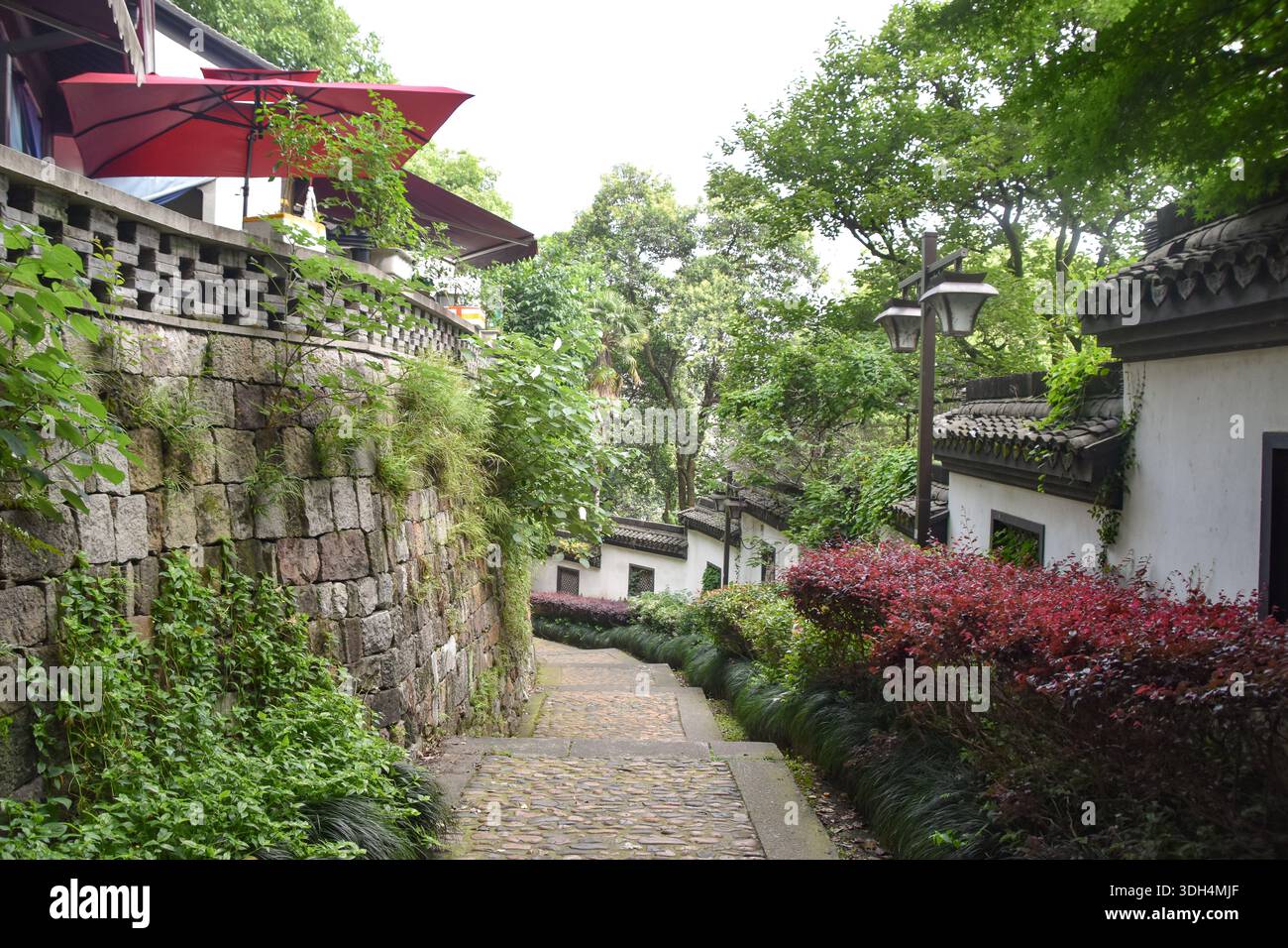 Chinese village scene with plants and houses in Hangzhou, China Stock ...