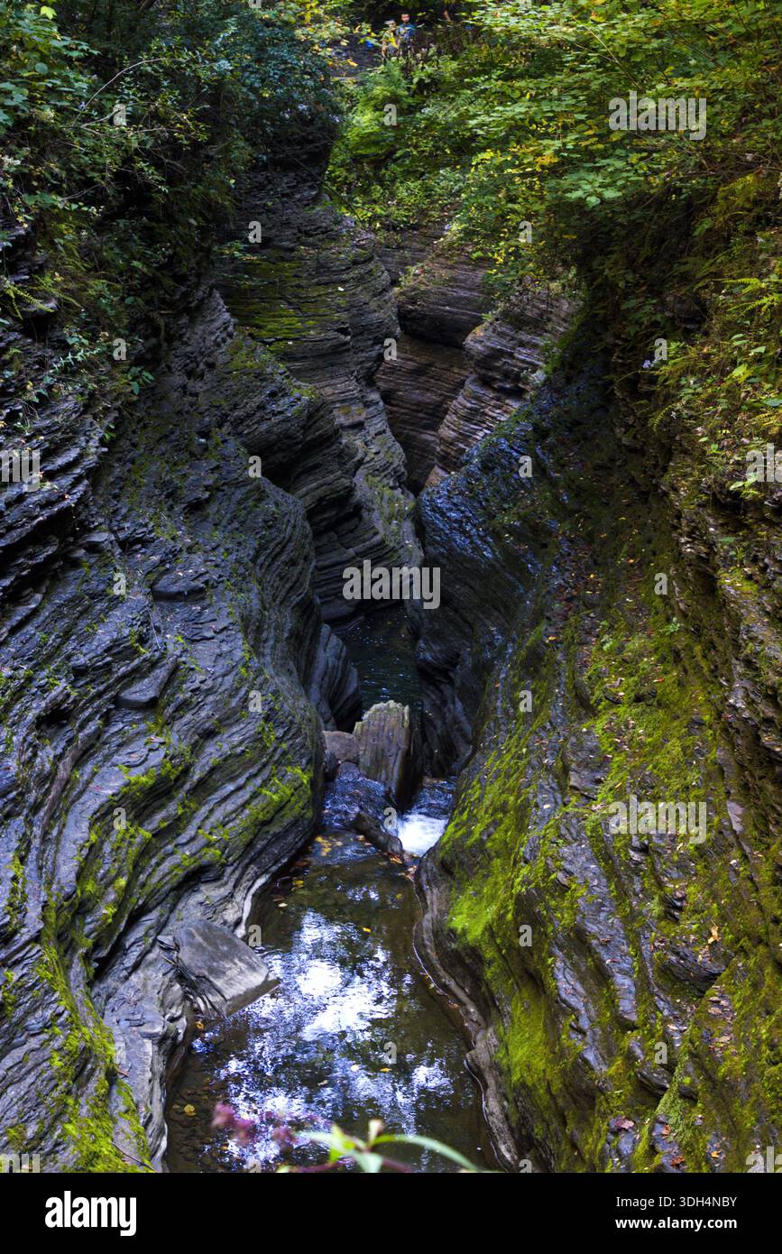 Narrow rocky gorge with shallow river winding between sculpted stone ...