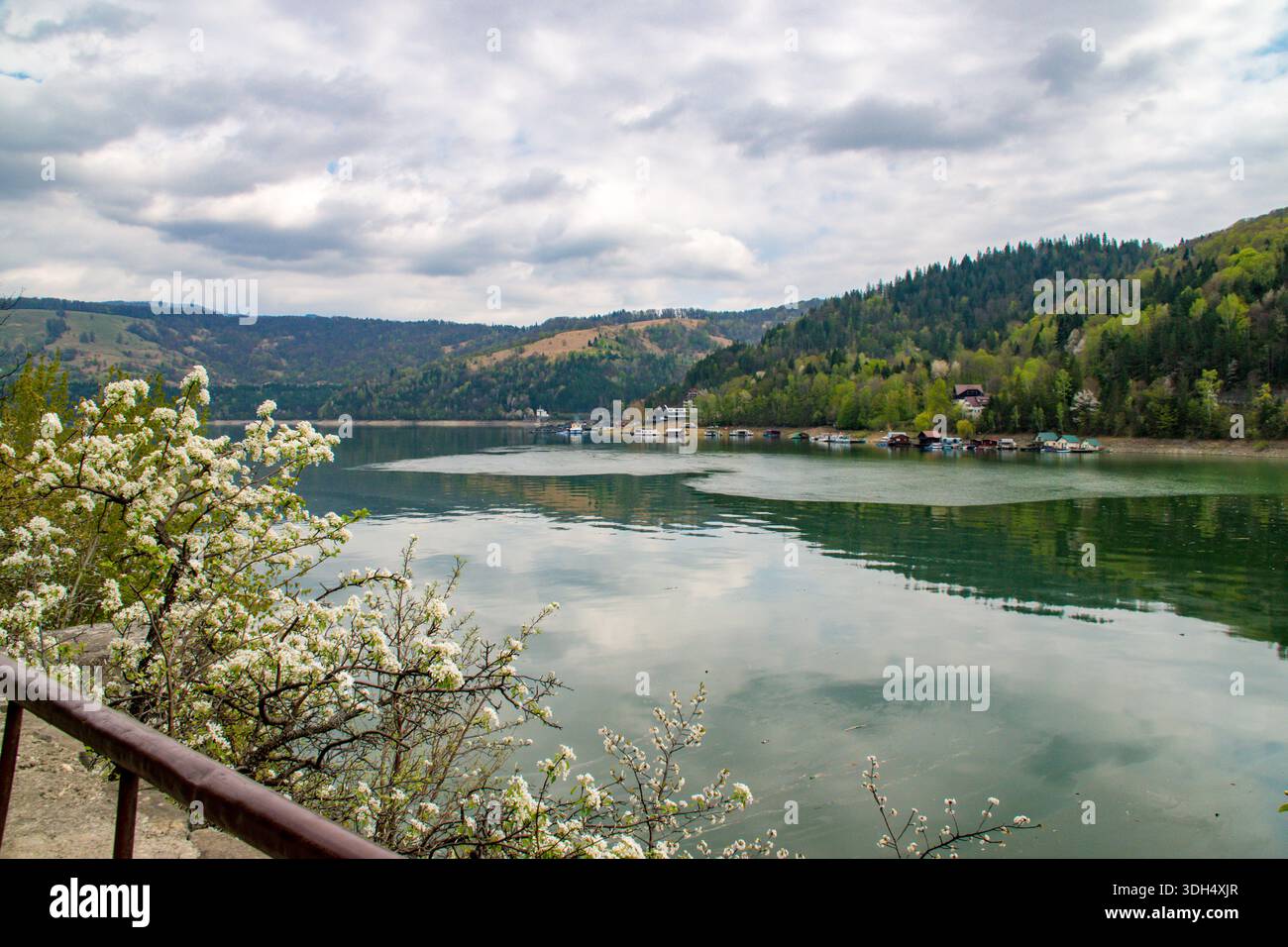 The Bicaz Dam (Izvorul Muntelui Dam) and the reservoir it forms ...