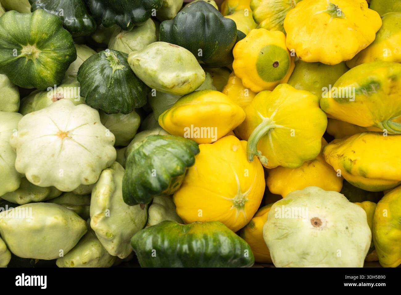 Collection showcases diverse shapes hi-res stock photography and images ...