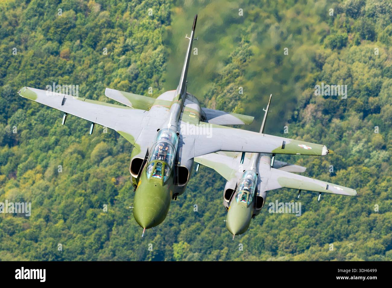 Two Soko NJ-22 Orao jets with registrations 25512 and 25529 are shown ...