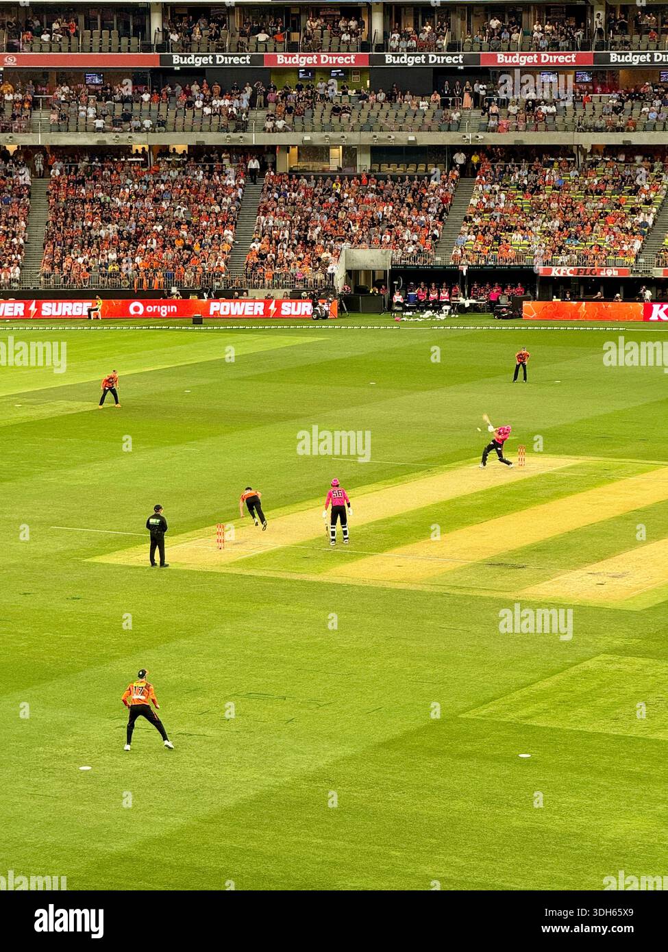 Big bash league hi-res stock photography and images - Alamy