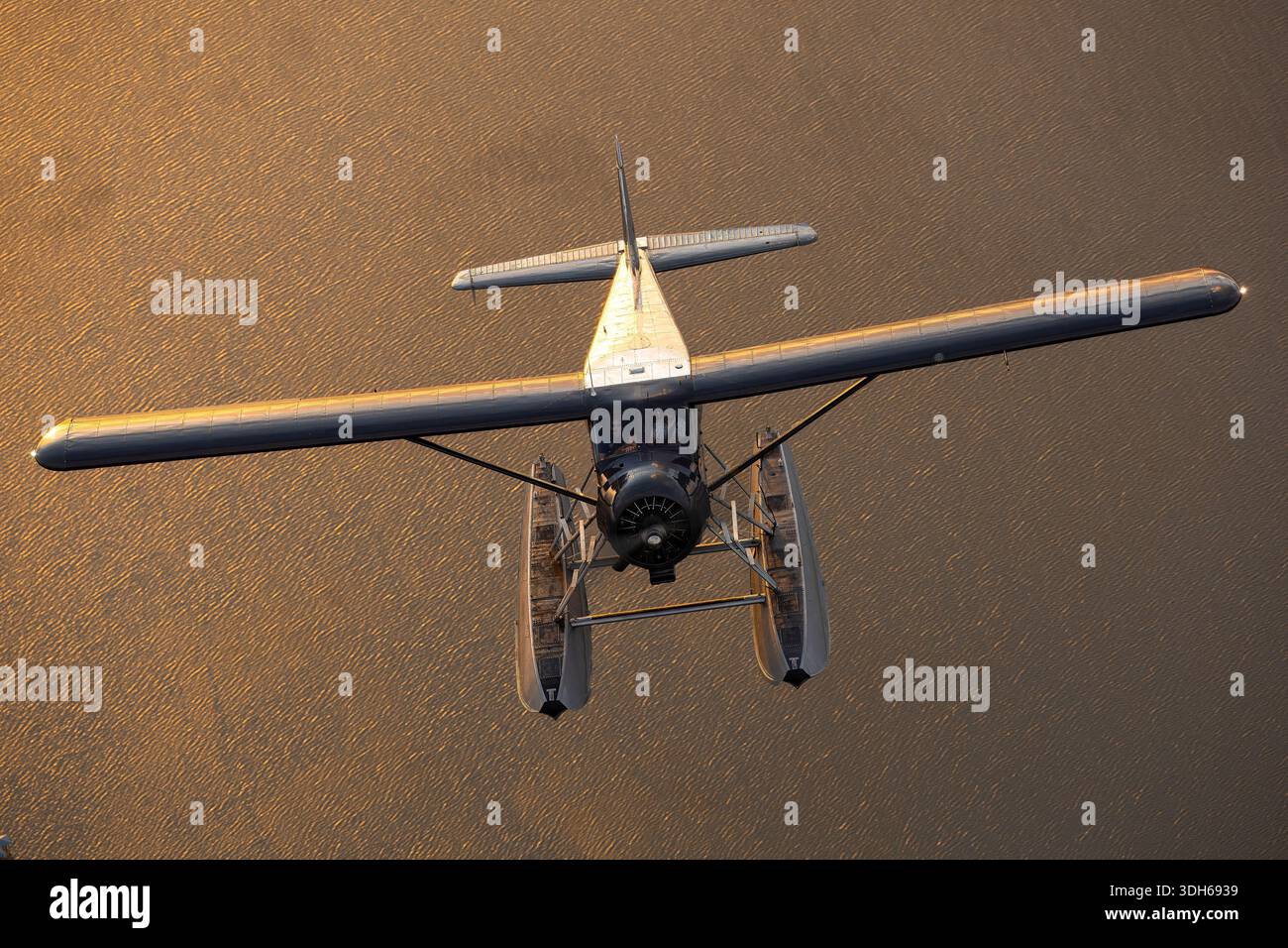 The De Havilland DHC-2 Mk1 Beaver, registration N954BS, is a single ...