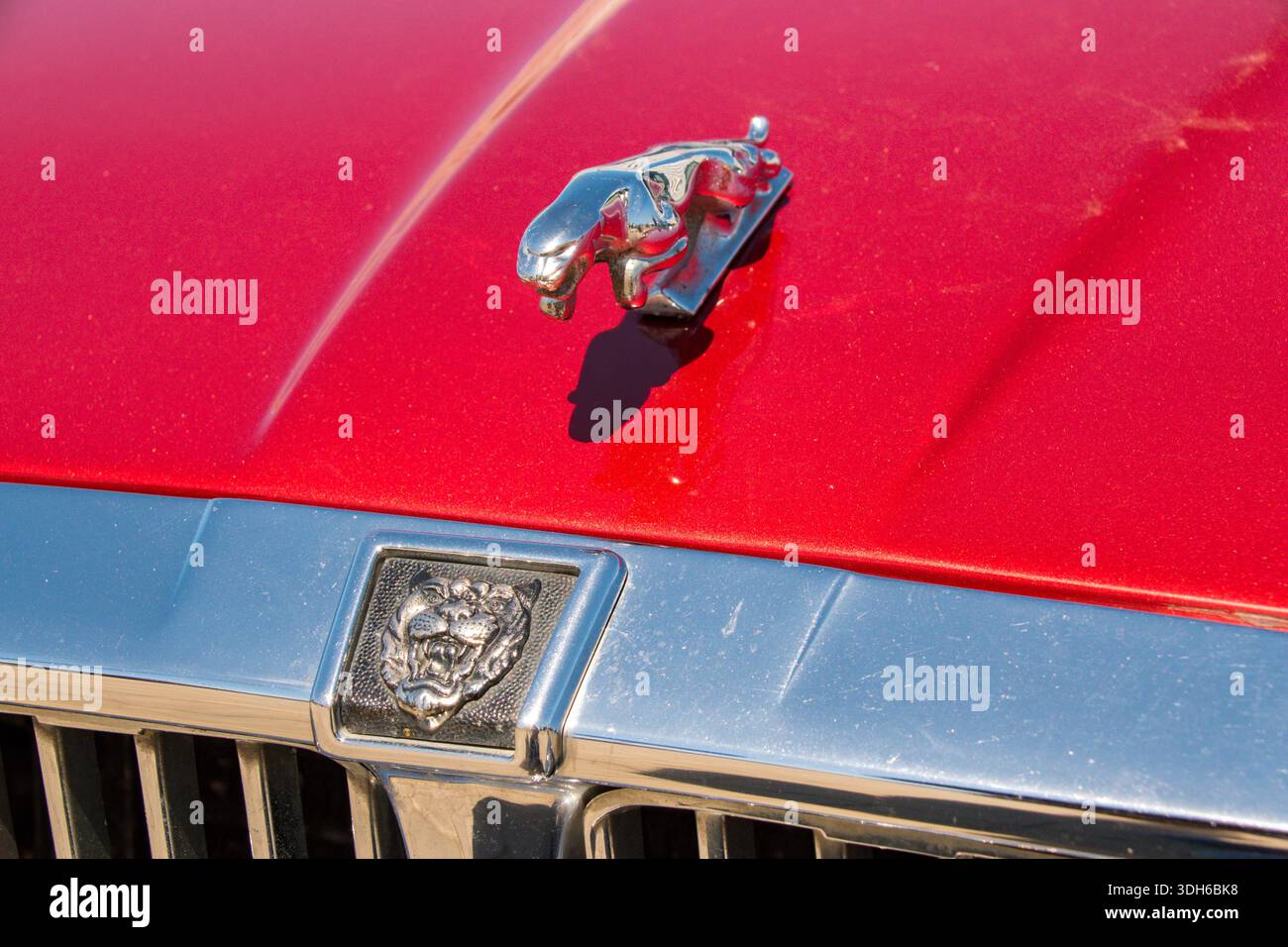 The Leaping Jaguar hood ornament, formally known as the Leaper, is one ...