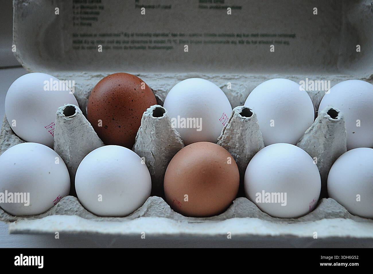 Copenhagen/Denmark /20 JANUARY 2026 / These are not produced in birds ...