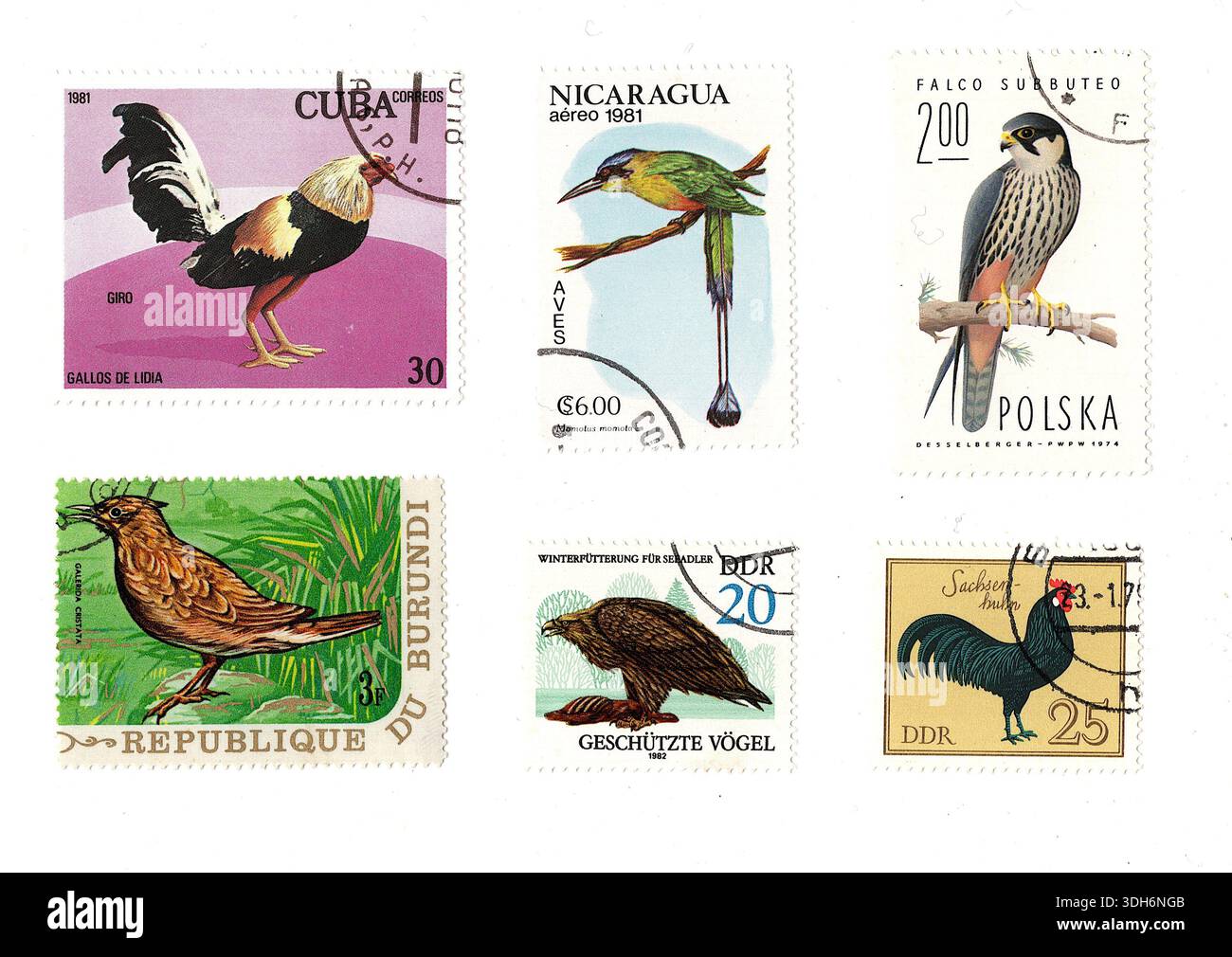 Vintage postage stamps featuring birds isolated on a white background ...