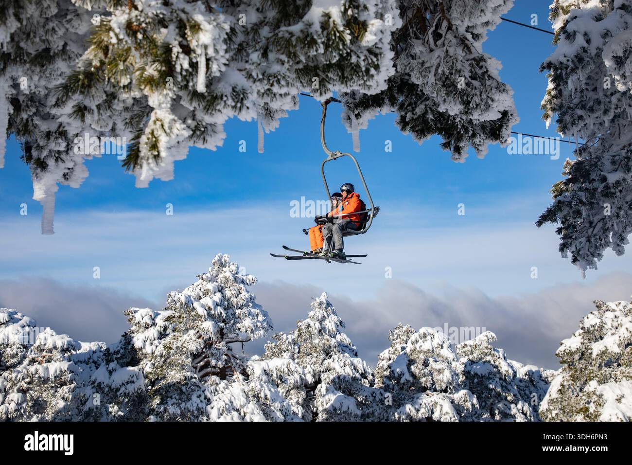 People skiing during the ski season in Navacerrada, on 20 January 2026 ...