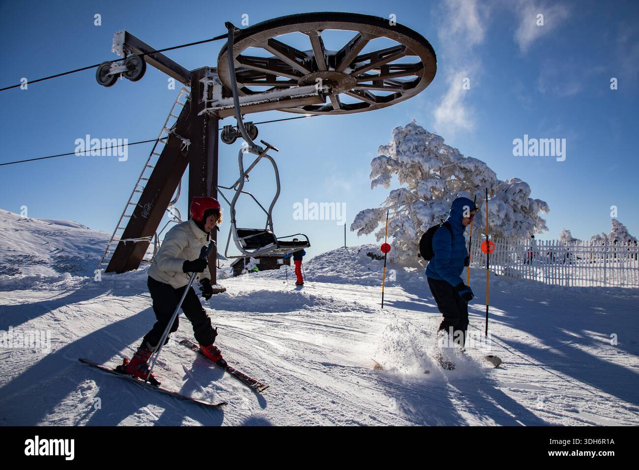 People skiing during the ski season in Navacerrada, on 20 January 2026 ...