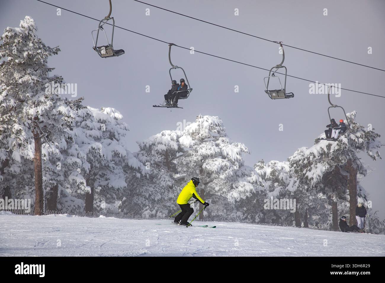 People skiing during the ski season in Navacerrada, on 20 January 2026 ...