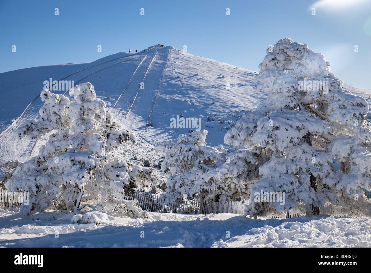 Snow in Navacerrada during the ski season in Navacerrada on 20 January ...