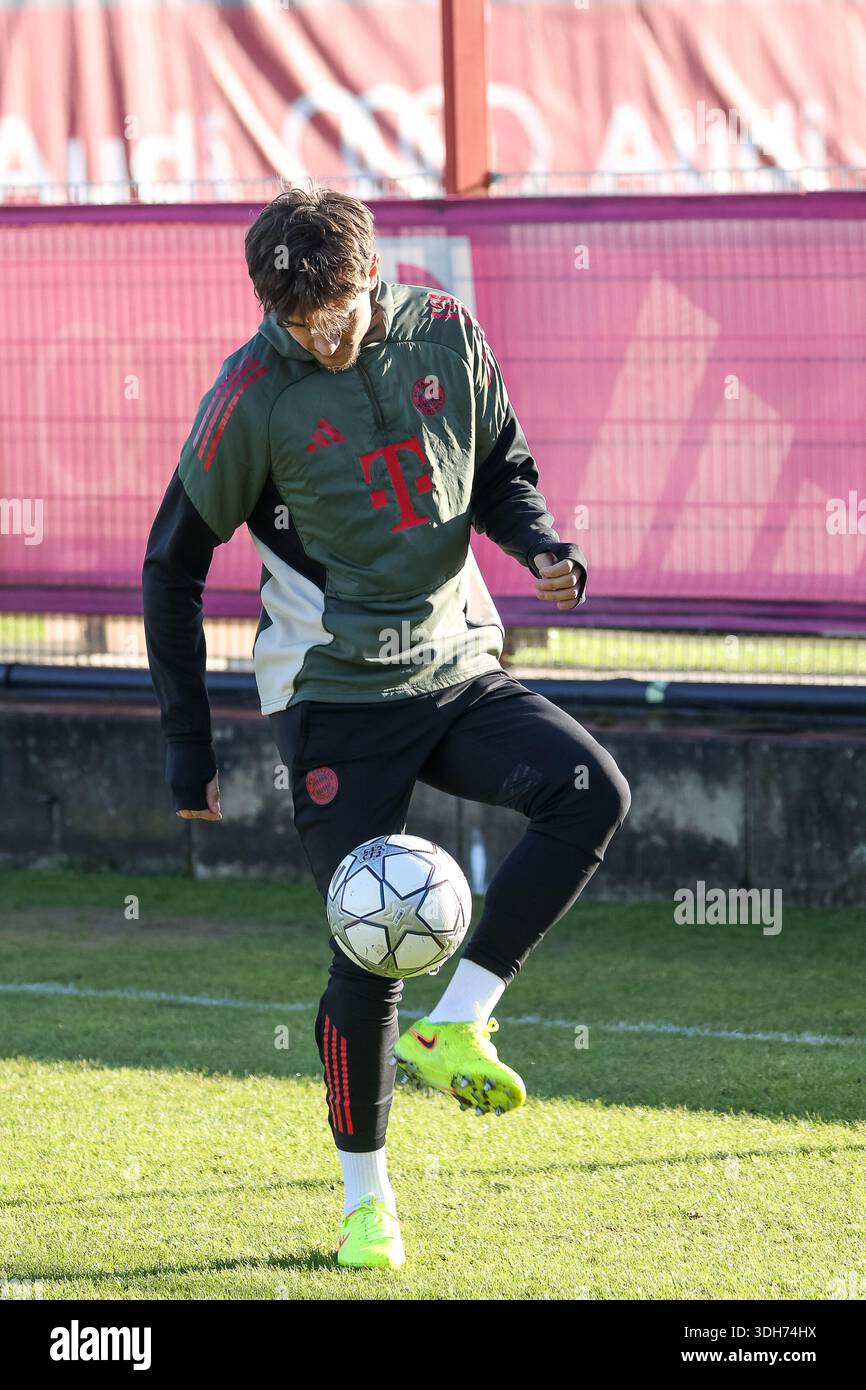 Tom Bischof (FC FC Bayern Munich, #20) with ball, GER, final training ...