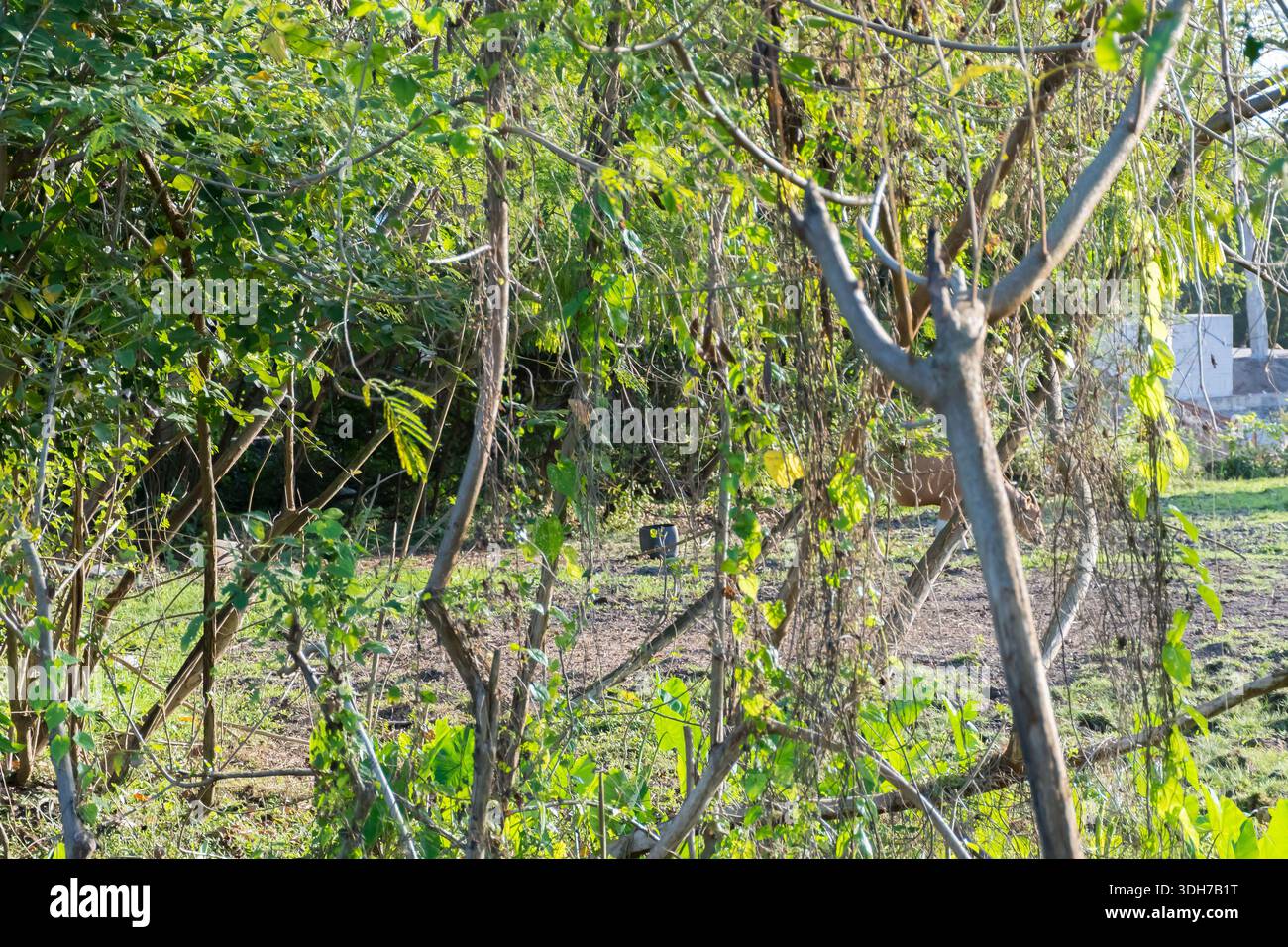 Nuanu, Bali, Indonesia – August 05, 2025 | Artistic Sculpture ...