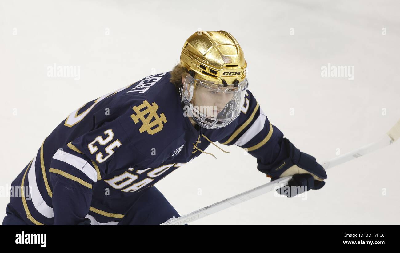 Notre Dame's Michael Schermerhorn plays during an NCAA hockey game on ...