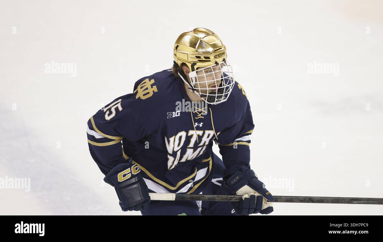 Notre Dame's Jayden Davis plays during an NCAA hockey game on Saturday ...