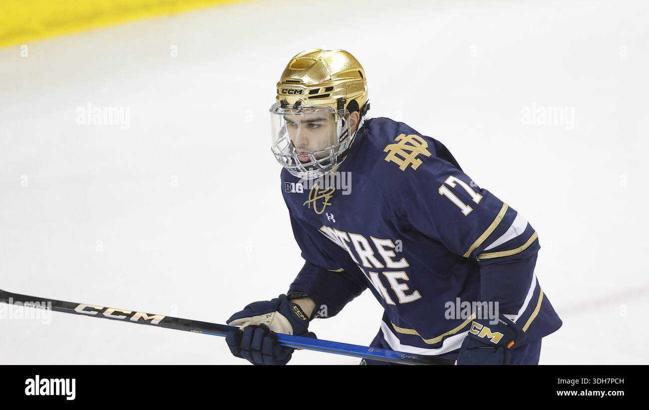 Notre Dame's Pano Fimis plays during an NCAA hockey game on Saturday ...