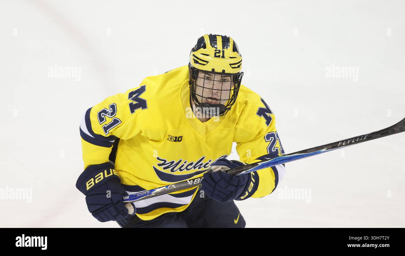 Michigan's Ben Robertson plays during an NCAA hockey game on Saturday ...