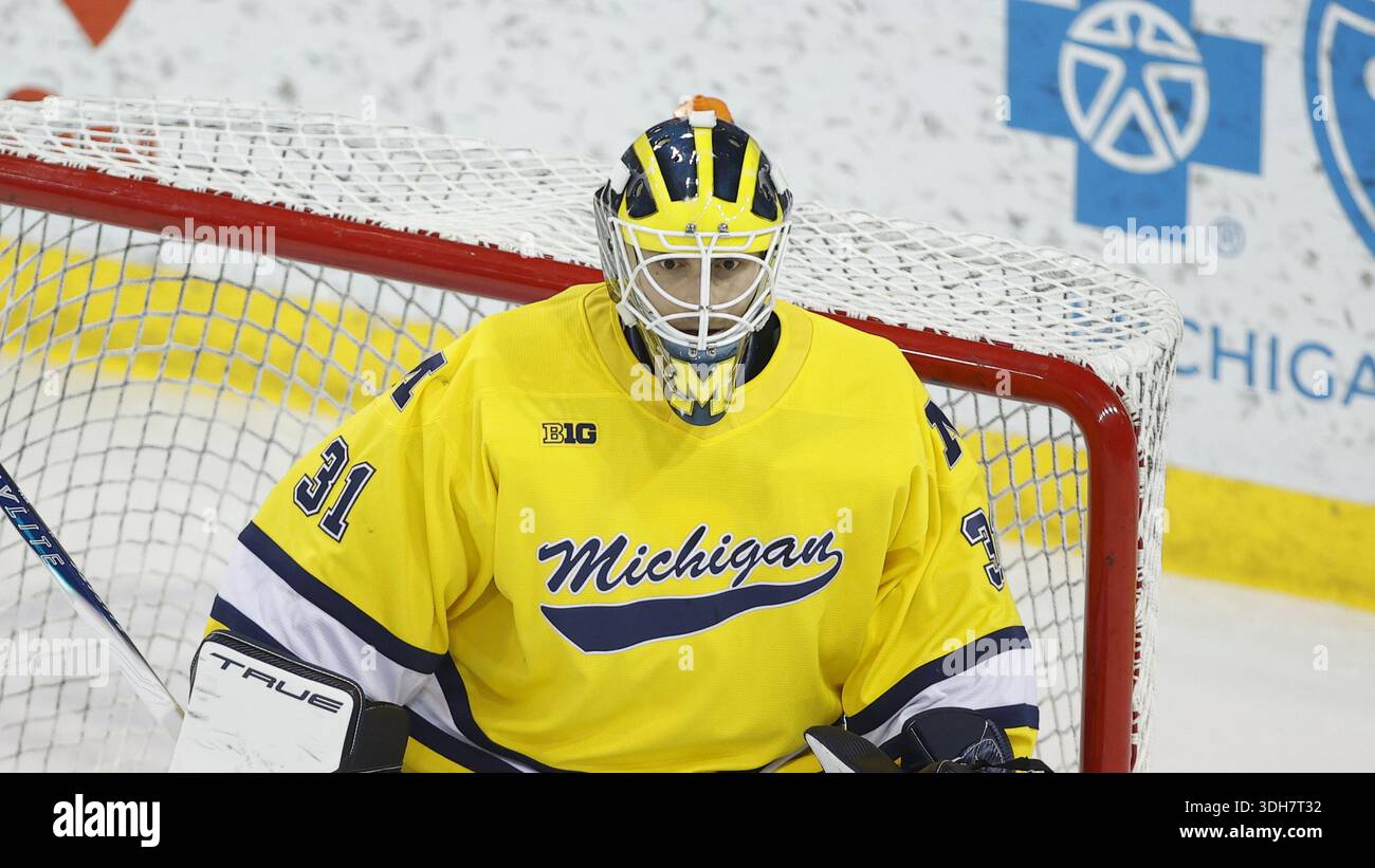 Michigan's Stephen Peck plays during an NCAA hockey game on Saturday ...