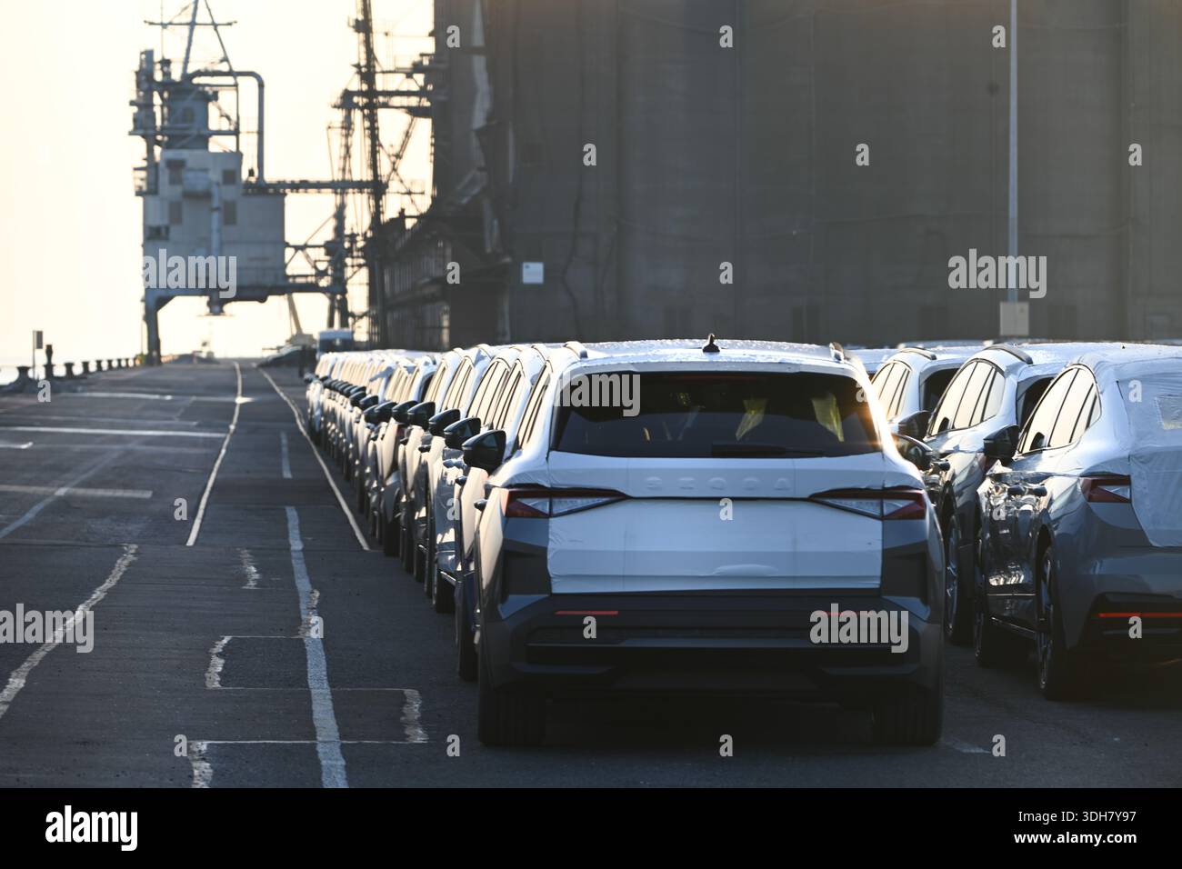 Emden, Germany. 20th Jan, 2026. Numerous cars are lined up close ...