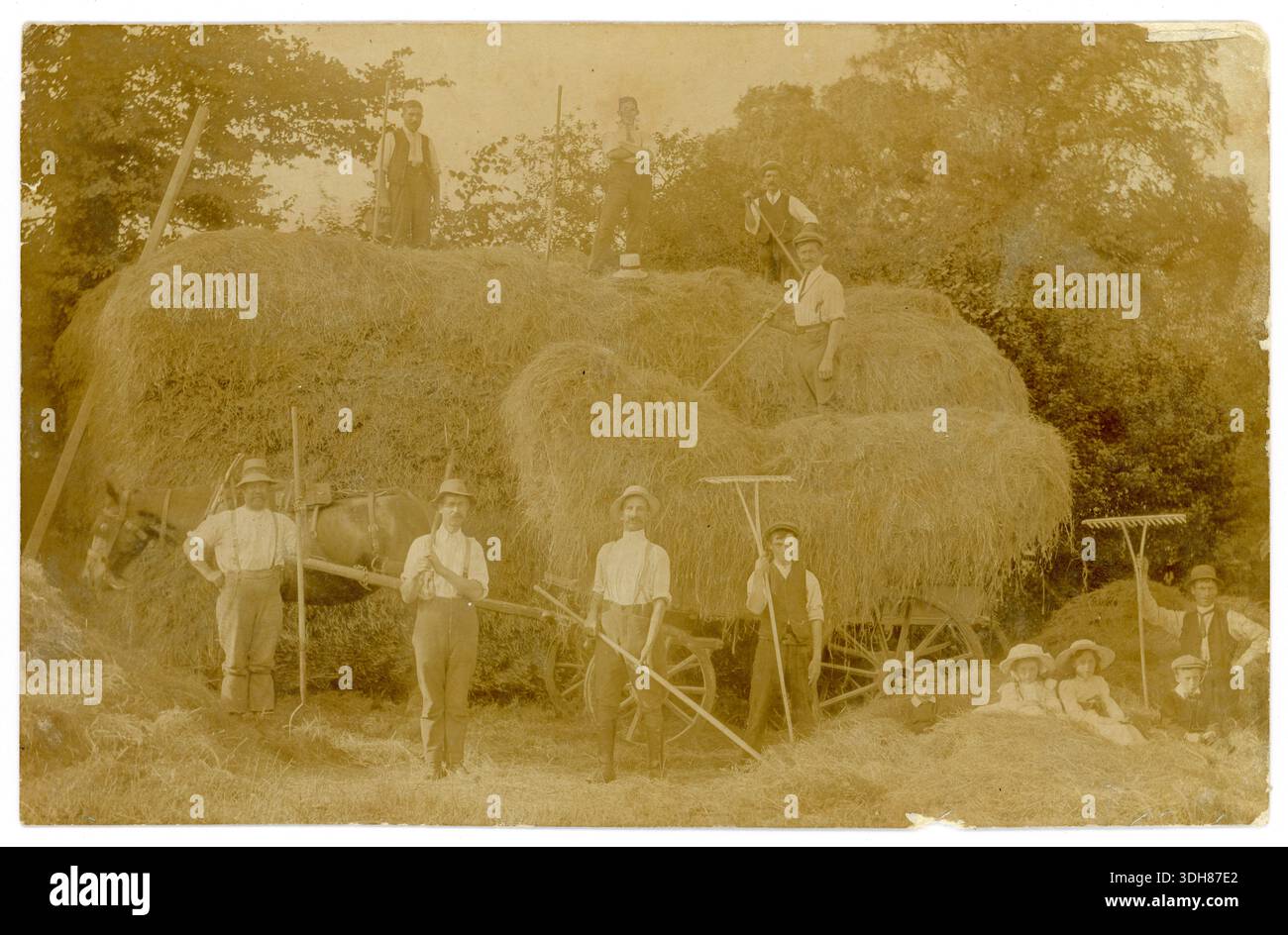 Victorian farm worker hi-res stock photography and images - Alamy