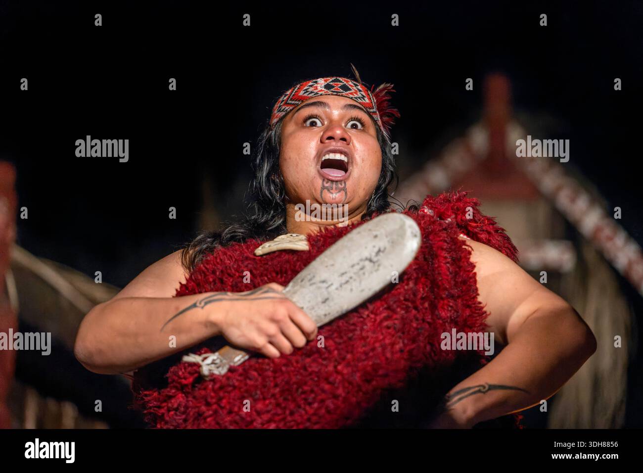 Maori dance show performance to the audience in Mitai Maori village ...