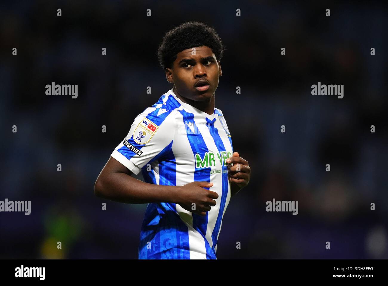 Sheffield Wednesday's Jaden Heskey during the Sky Bet Championship ...