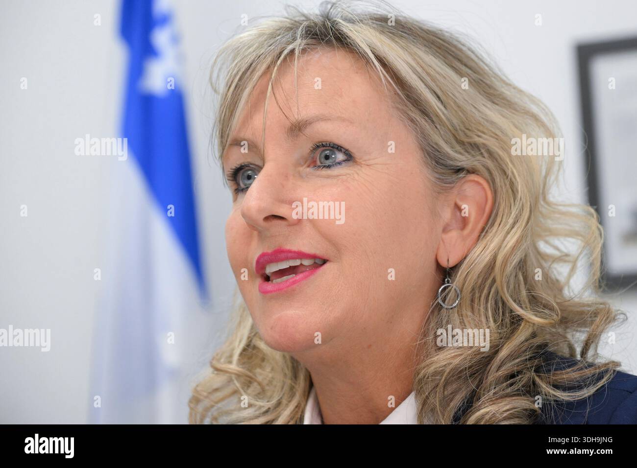 L'ex-ministre des Affaires municipales et députée de Chicoutimi, Andrée ...