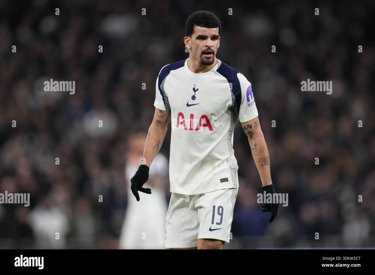 Dominic Solanke of Tottenham Hotspur during the UEFA Champions league ...
