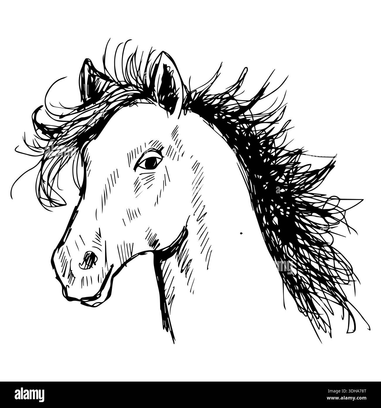 Long outline Black and White Stock Photos & Images - Alamy