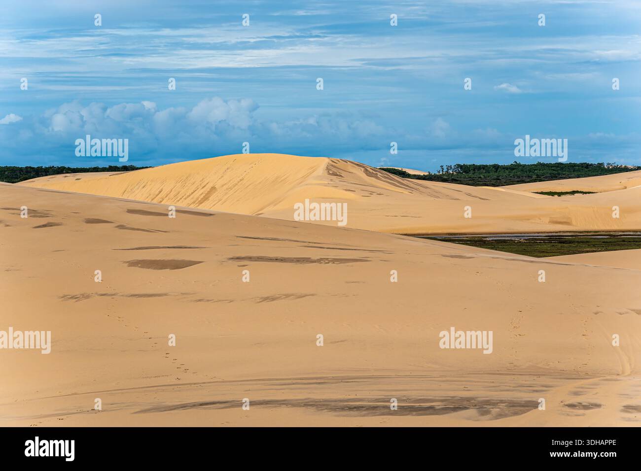 Dunas do Mouro at Ilha do Caju, Ilha das Canarias, Brazil. Delta do ...