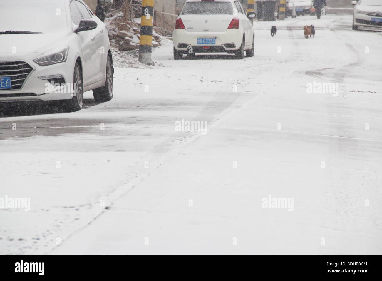 Snow falls in Weihai City, east China's Shandong, 18 January, 2026 ...