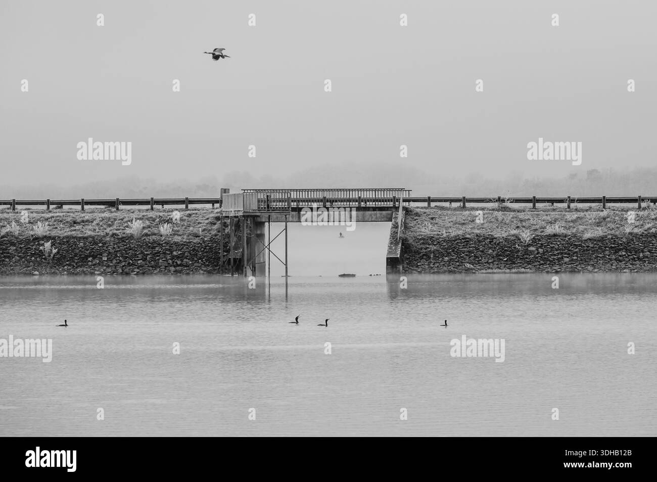 Small flight Black and White Stock Photos & Images - Alamy