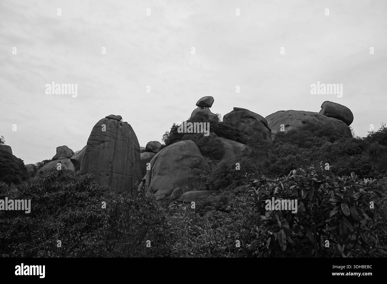 Rabbit vacation Black and White Stock Photos & Images - Alamy