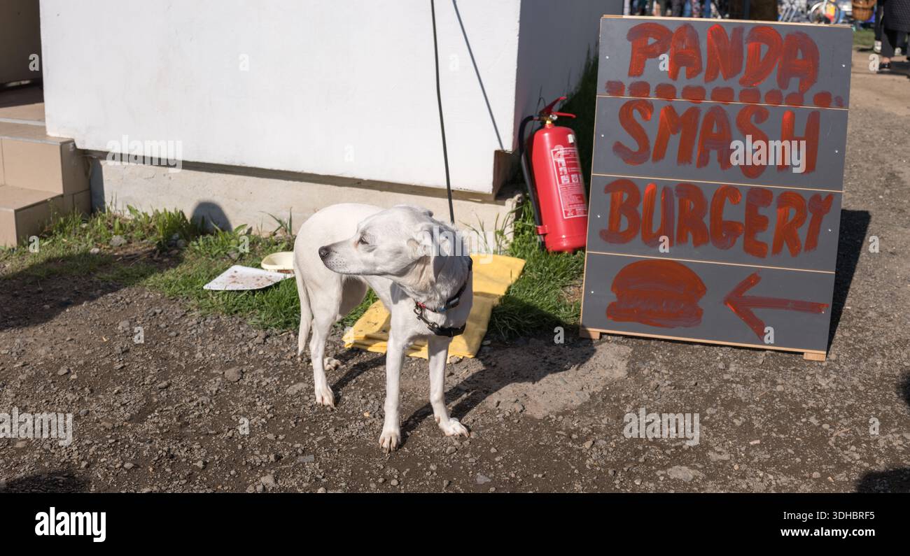 Stand stall food smash burgery burgers sign hi-res stock photography ...