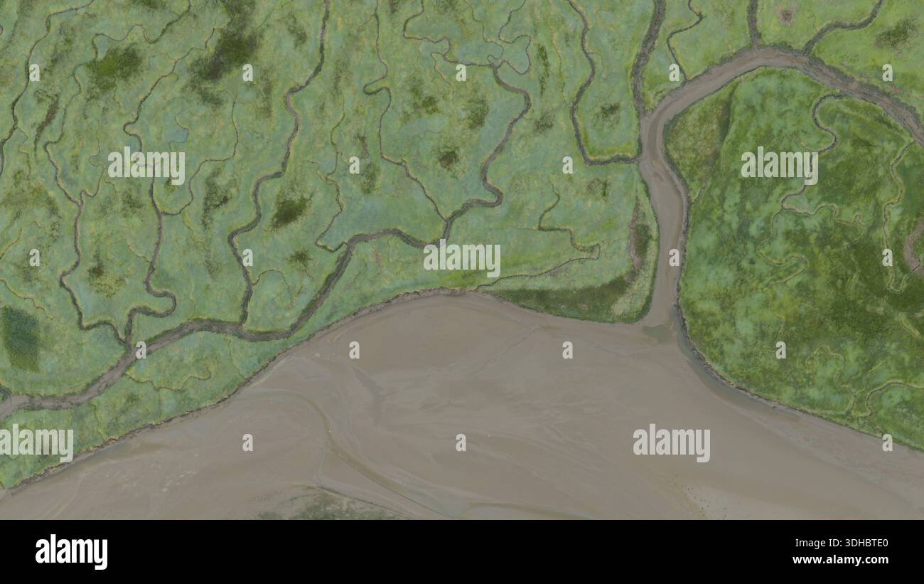 Aerial view winding salt marsh river channels Stock Photo - Alamy