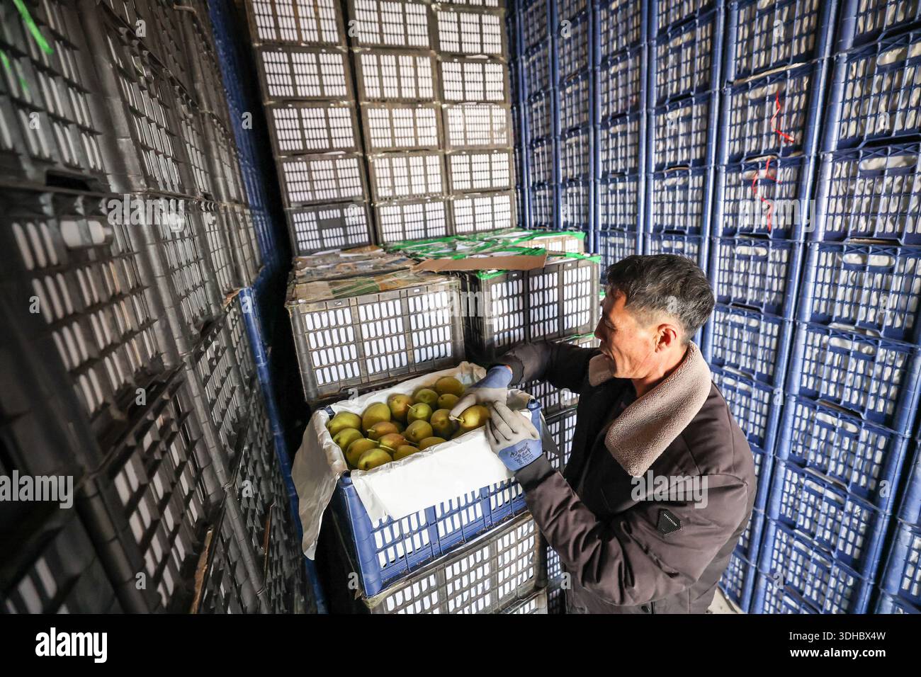 Huludao, China's Liaoning Province. 20th Jan, 2026. A villager moves ...