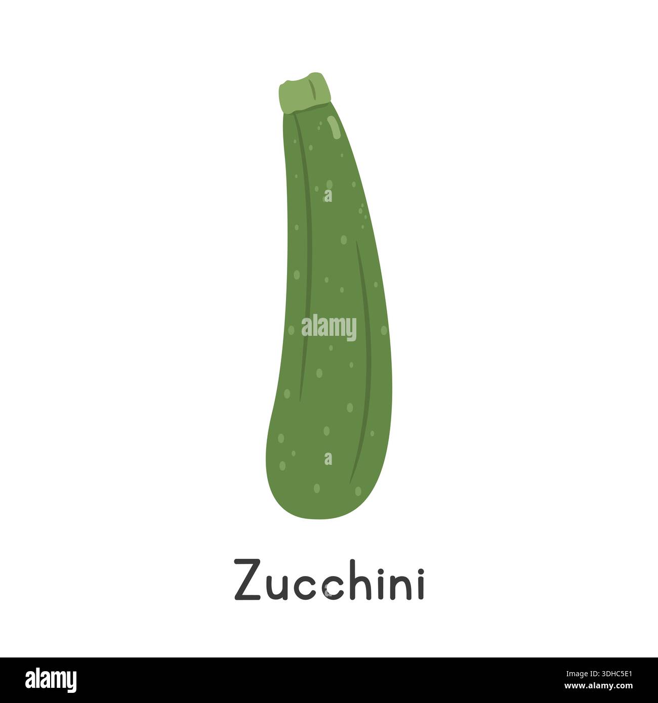 Zucchini Flat Cartoon Vector Illustration Isolated on White Background ...