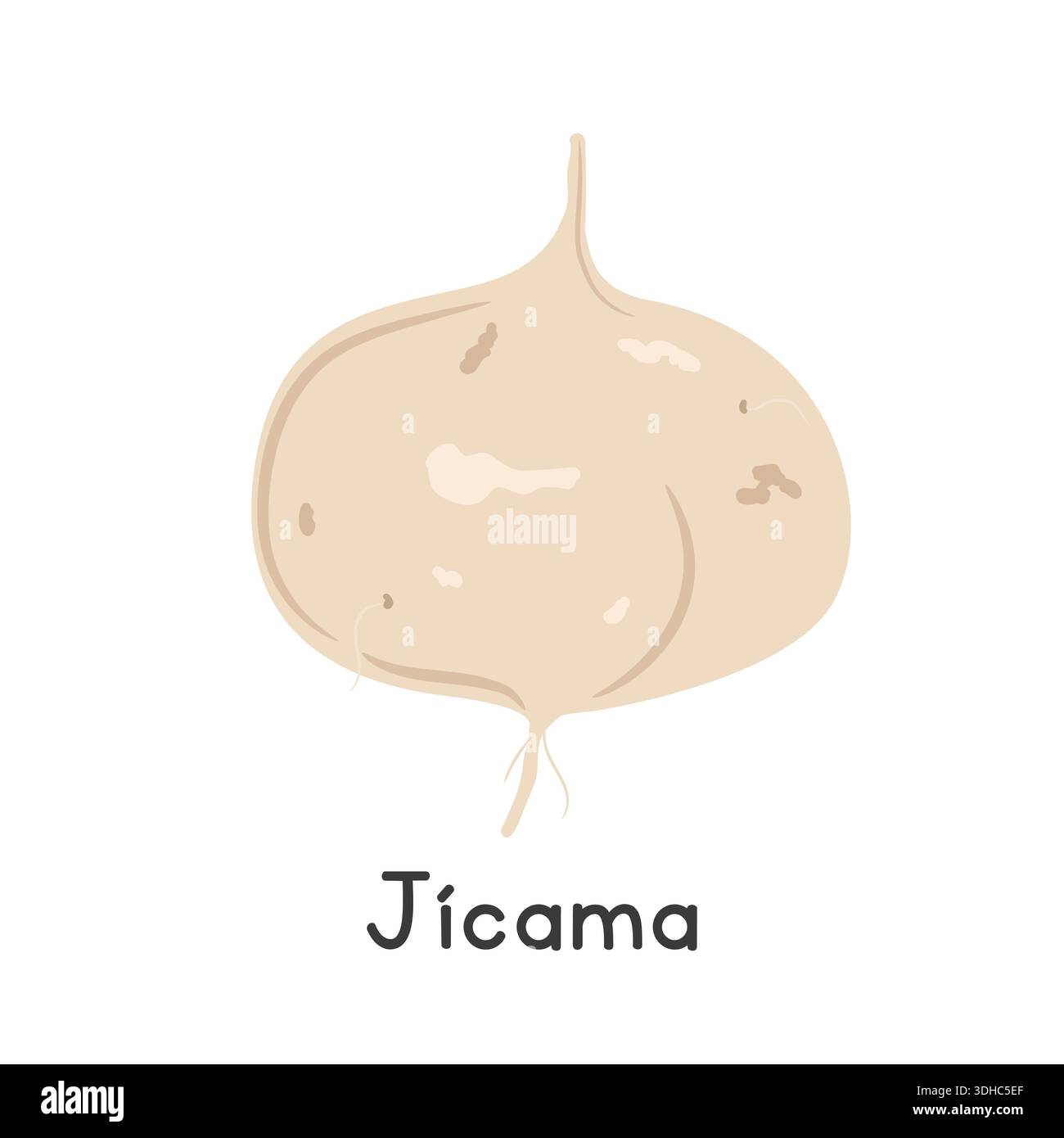 Jicama Flat Cartoon Vector Illustration Isolated on White Background ...
