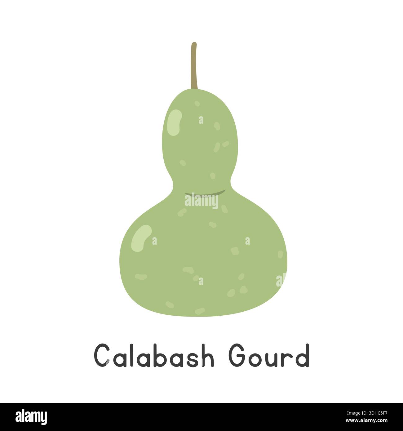 Calabash Gourd Flat Cartoon Vector Illustration Isolated on White ...