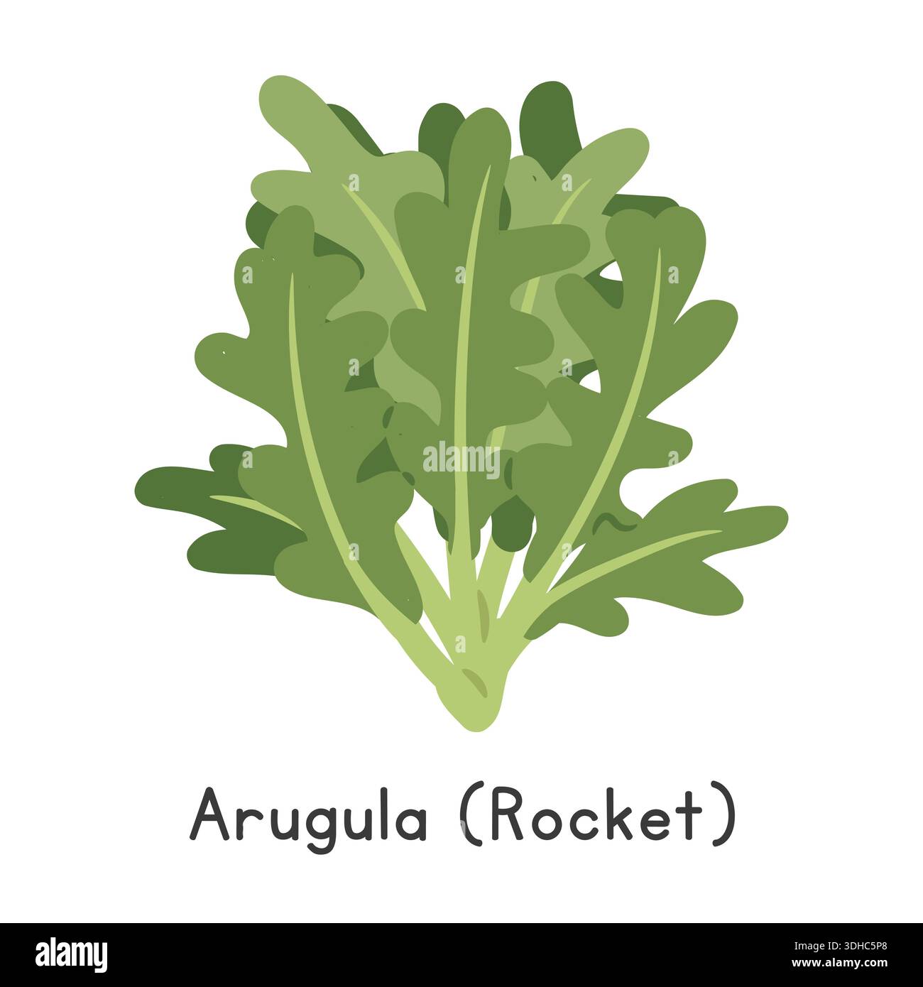 Cress rocket Stock Vector Images - Alamy